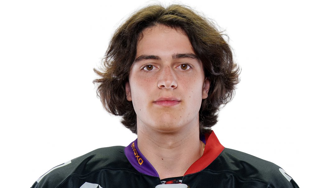 Piráti Chomutov » Profil hráče » Daniel Badinka